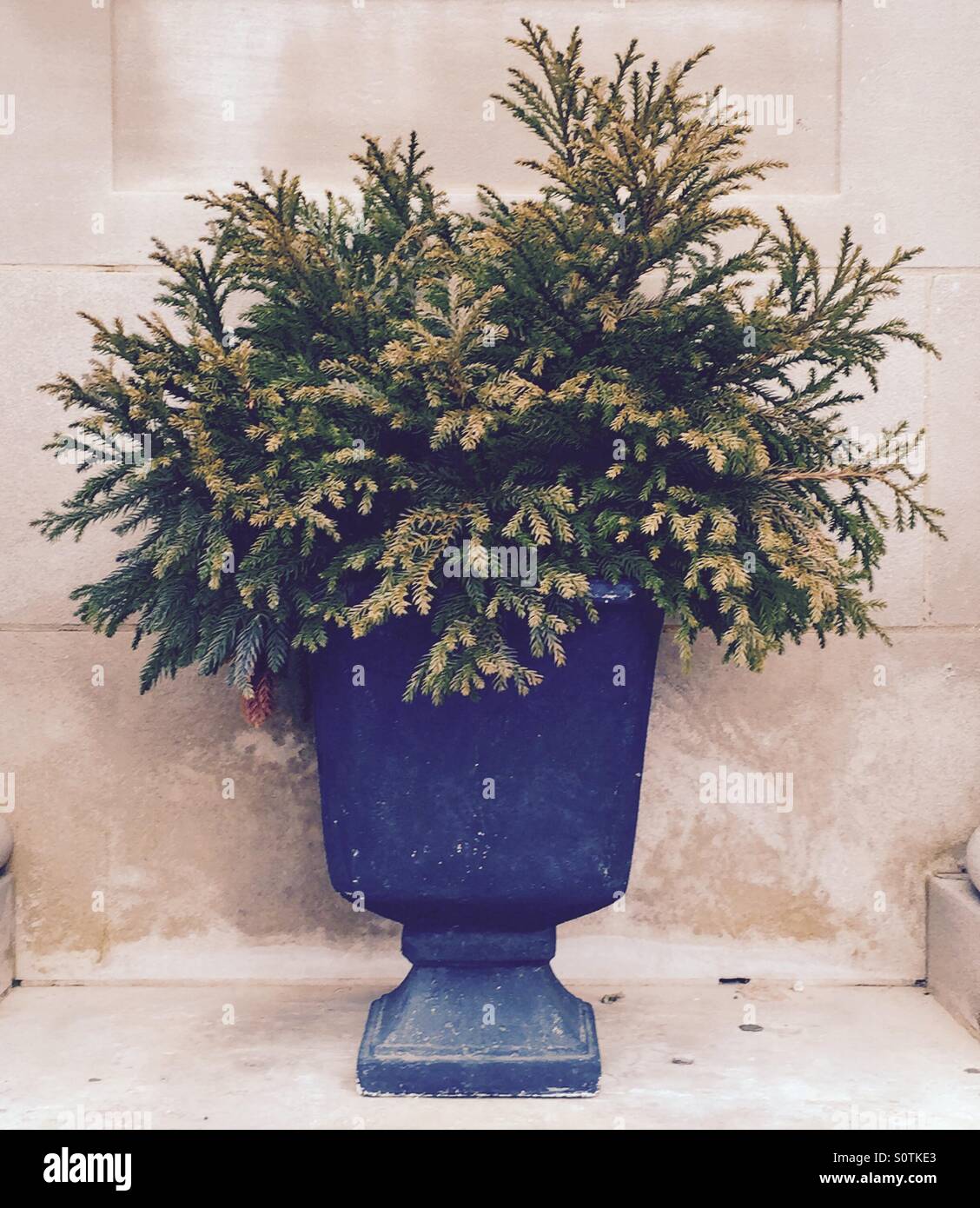 Outside greenery hi-res stock photography and images - Alamy