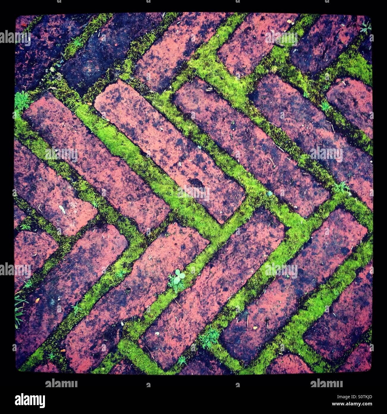 Brick path herringbone hi-res stock photography and images - Alamy