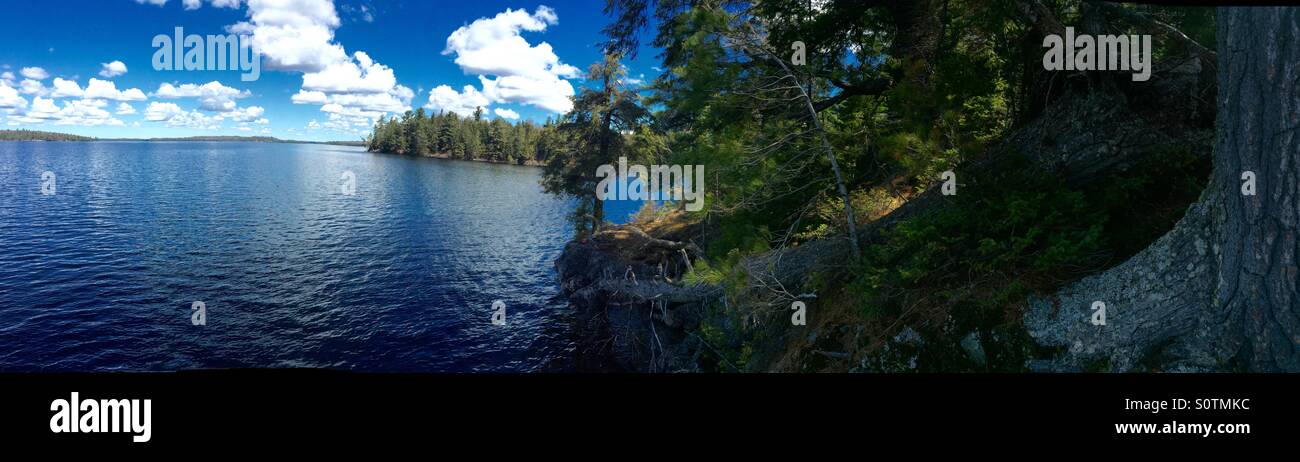 Shoreline forest hi-res stock photography and images - Alamy
