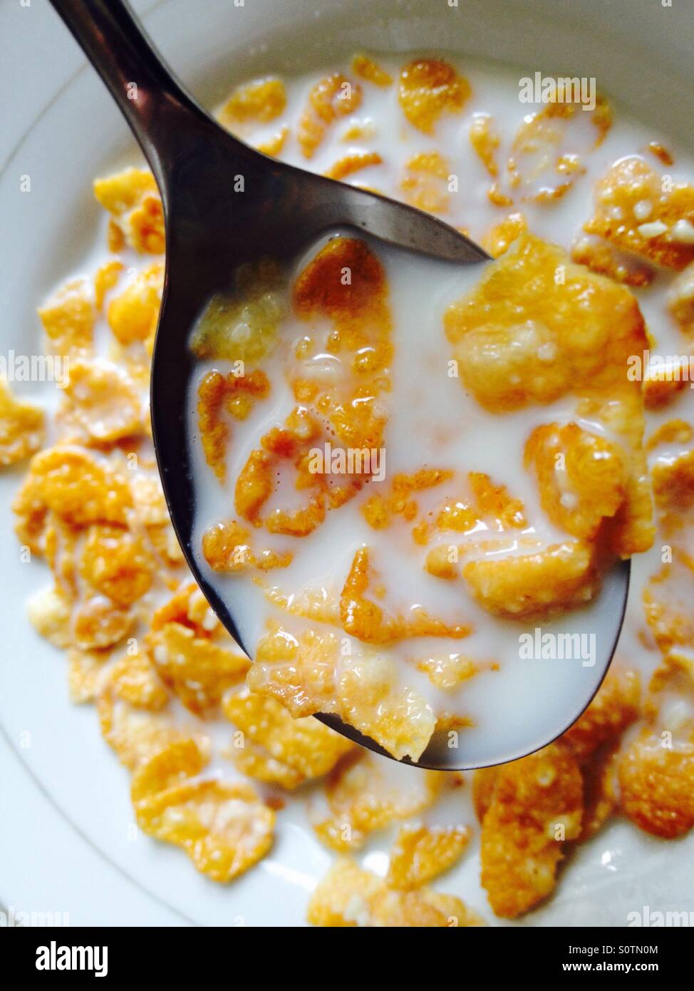 Bowl of cornflakes Stock Photo - Alamy