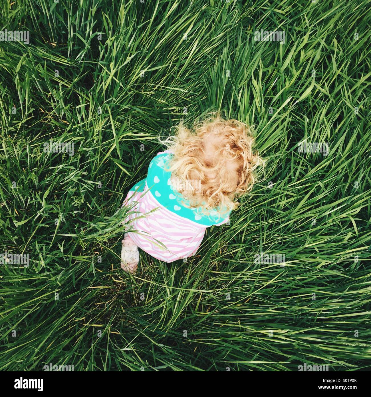 Fun in the grass Stock Photo - Alamy