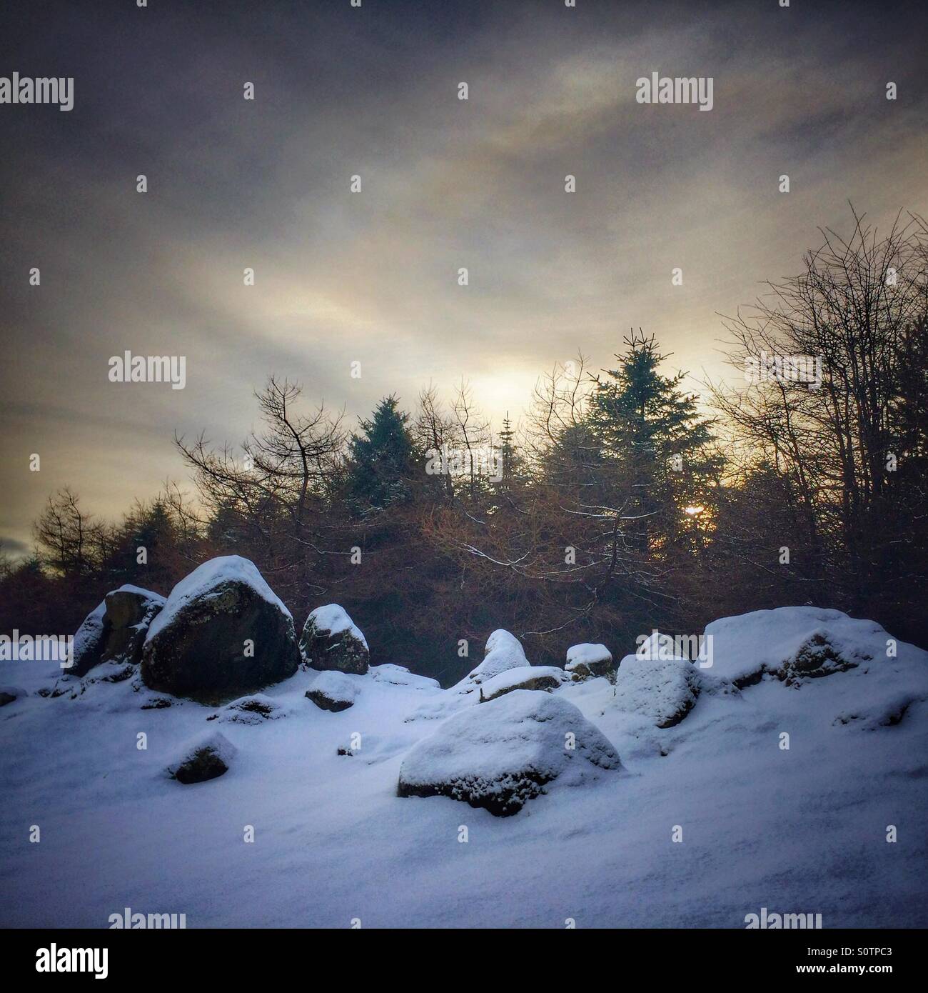 Trees, snow, rocks and clouds lighted up with sunset! Stock Photo - Alamy