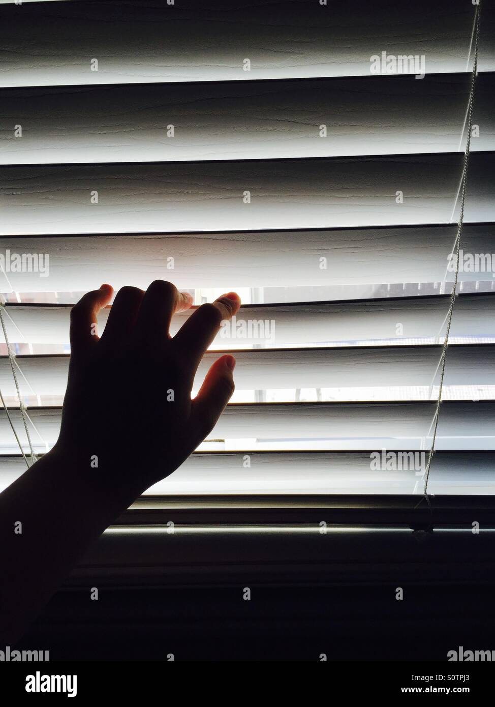 Hand Opening Blinds High Resolution Stock Photography and Images - Alamy