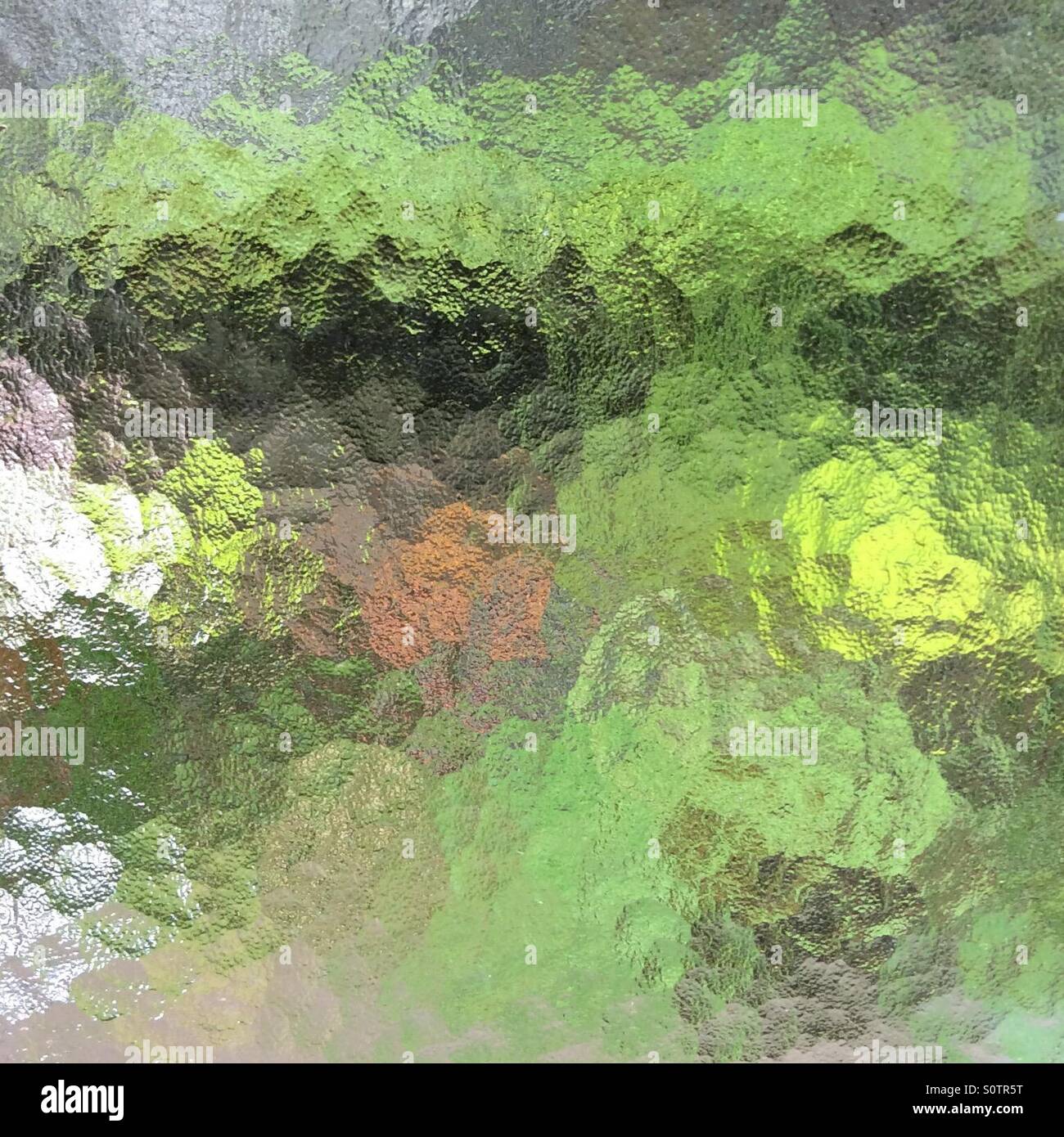 Garden colours hi-res stock photography and images - Alamy