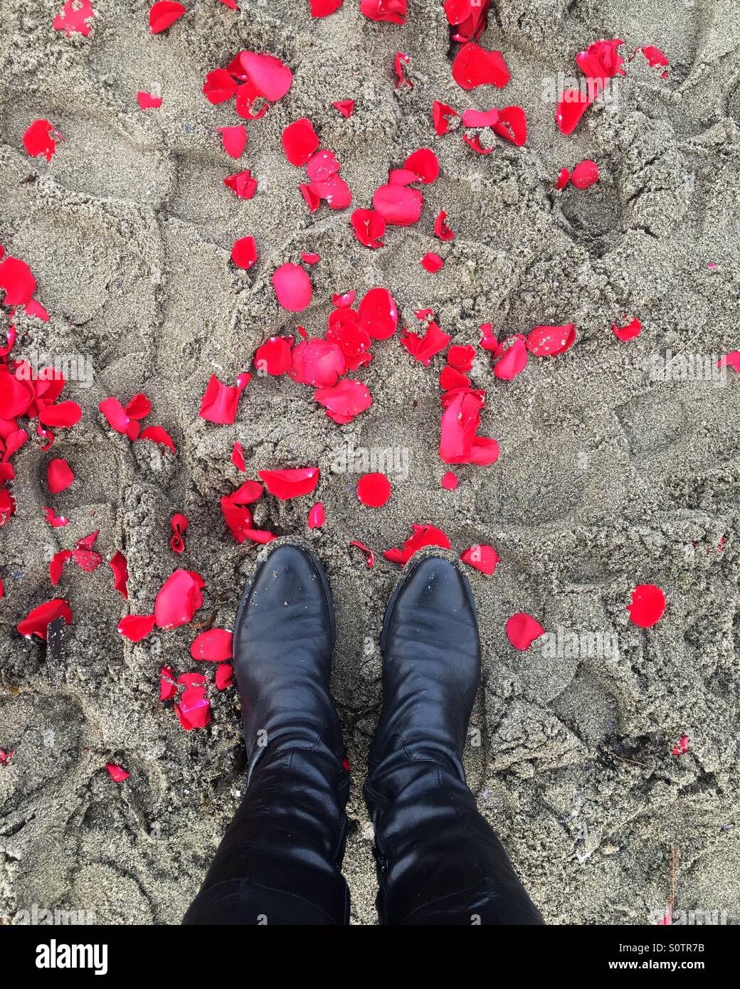 Breaking hearts everywhere I go Stock Photo - Alamy