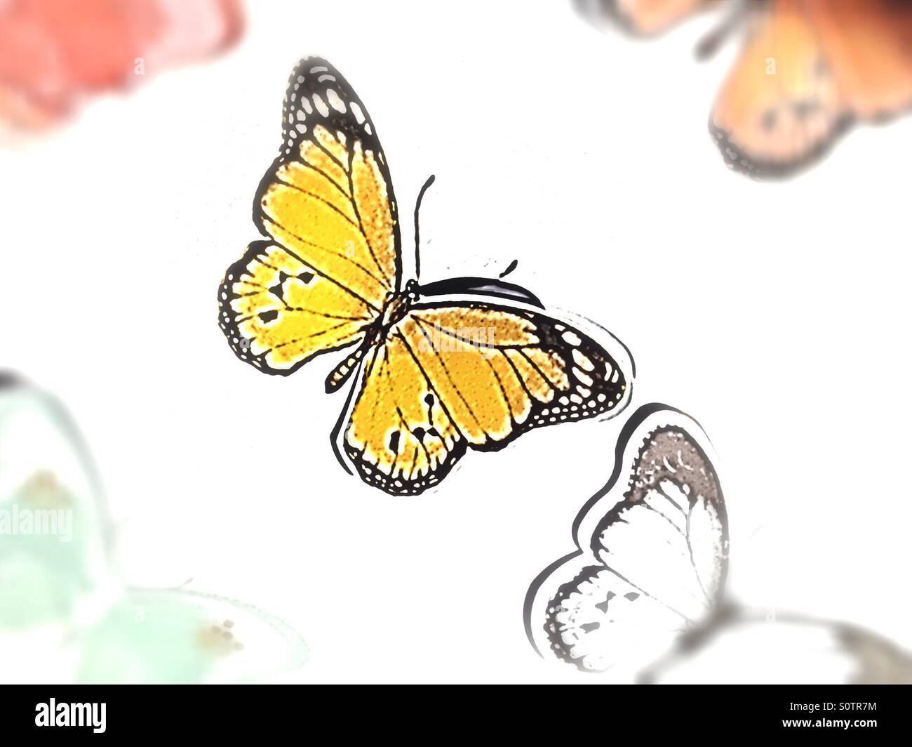 Insect motif hi-res stock photography and images - Alamy