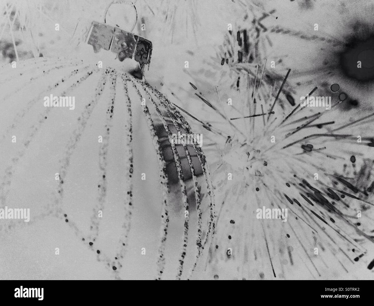 Negative tree hi-res stock photography and images - Alamy