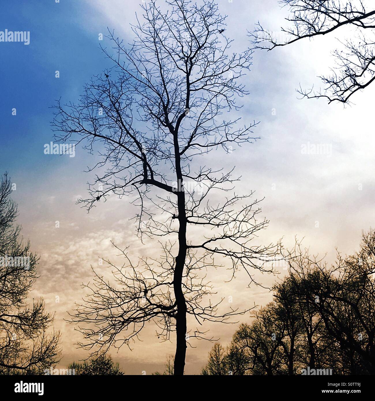 Eerie landscape hi-res stock photography and images - Alamy
