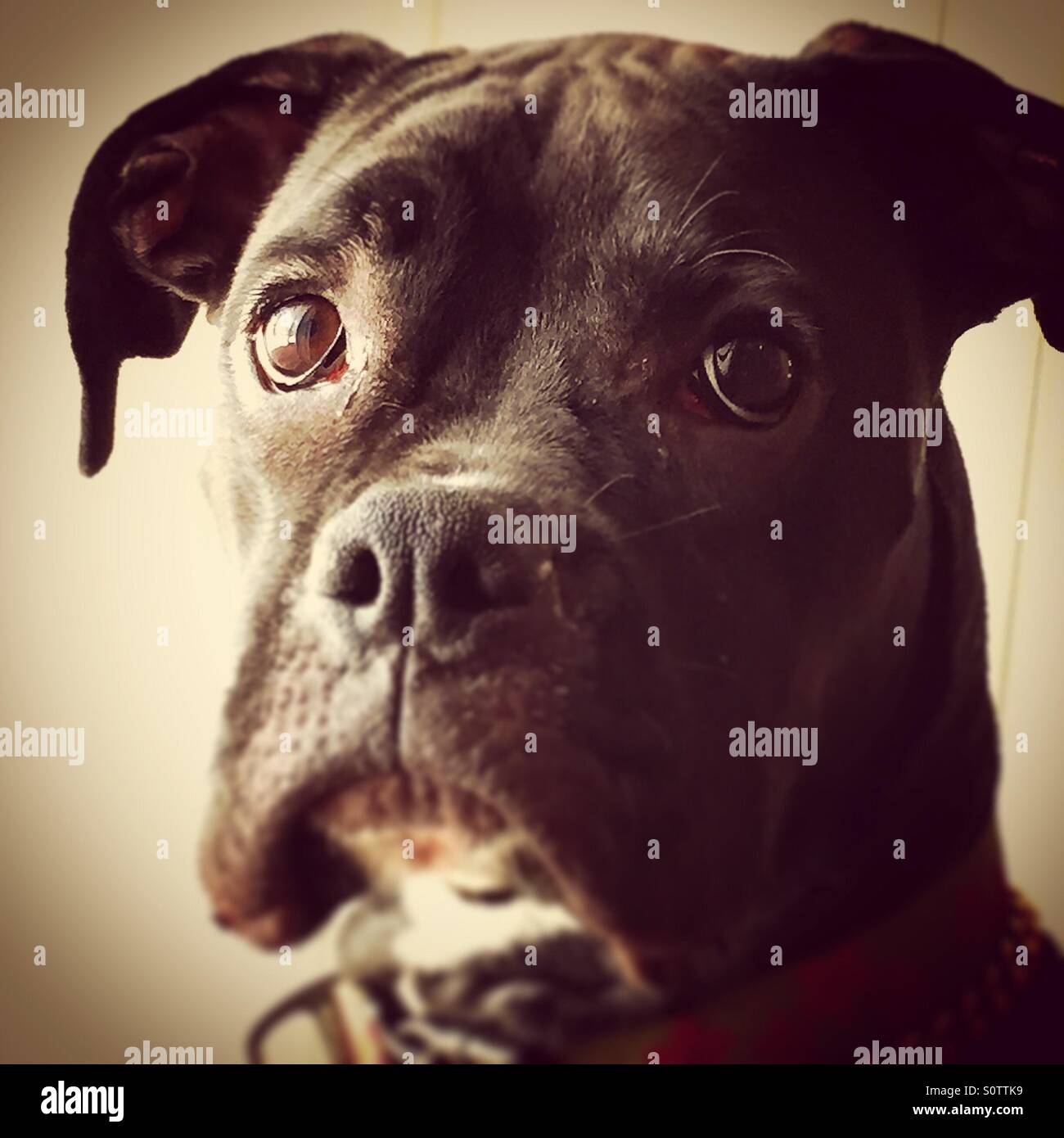 Ada clare hi-res stock photography and images - Alamy