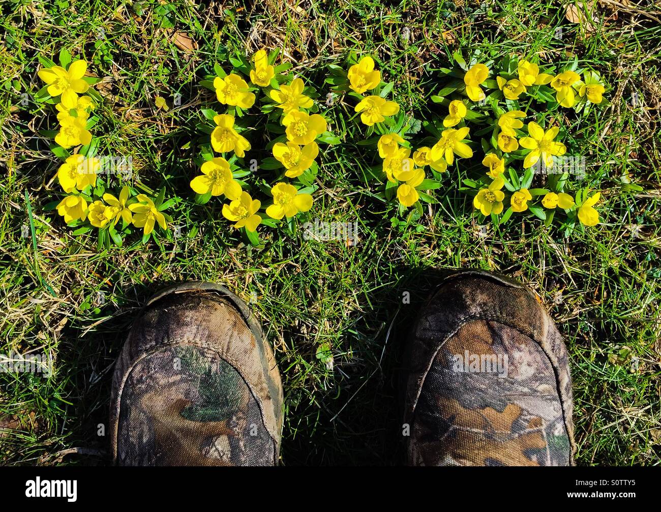 Lily feet hi-res stock photography and images - Alamy