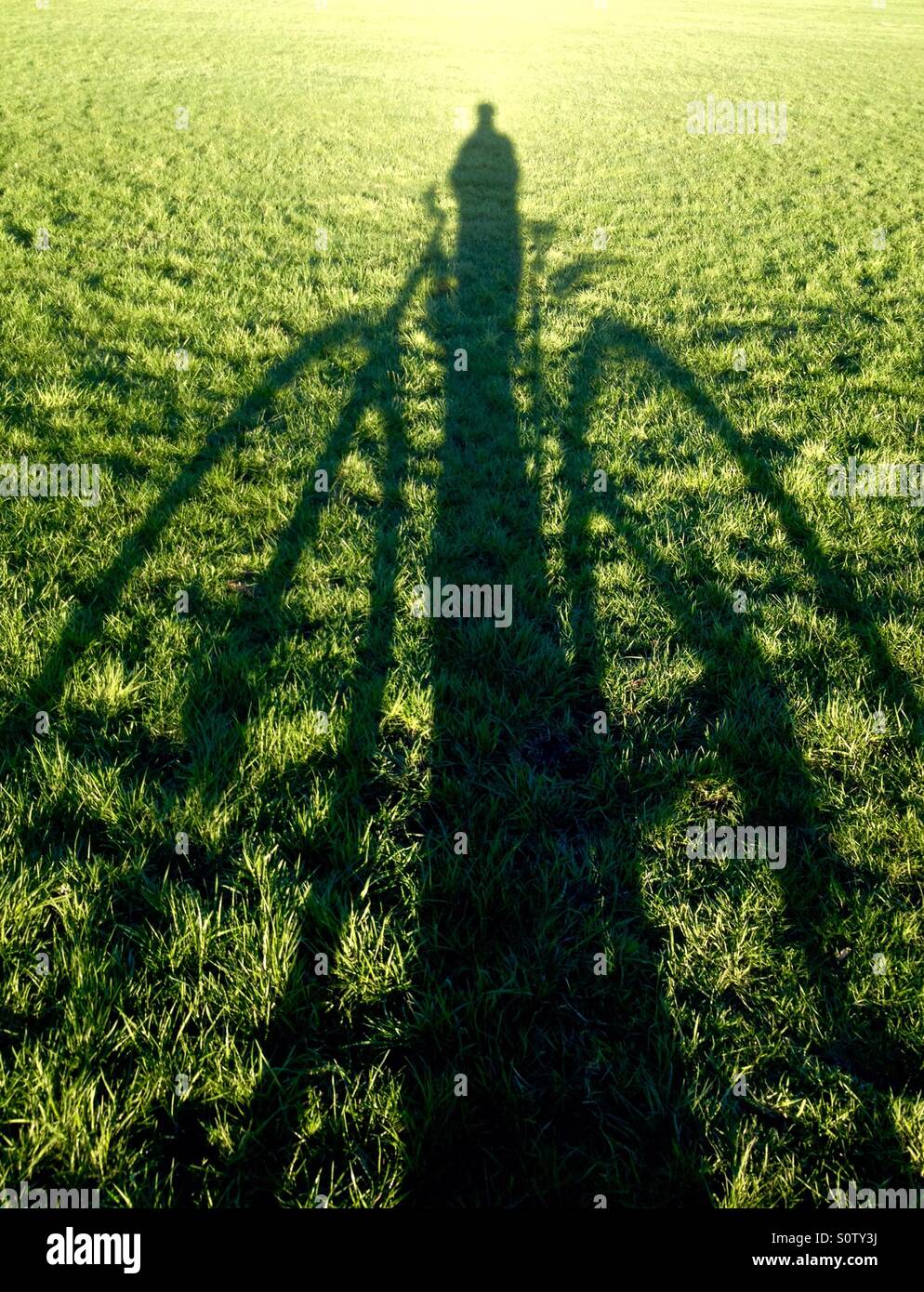 Distorted shadow hi-res stock photography and images - Alamy