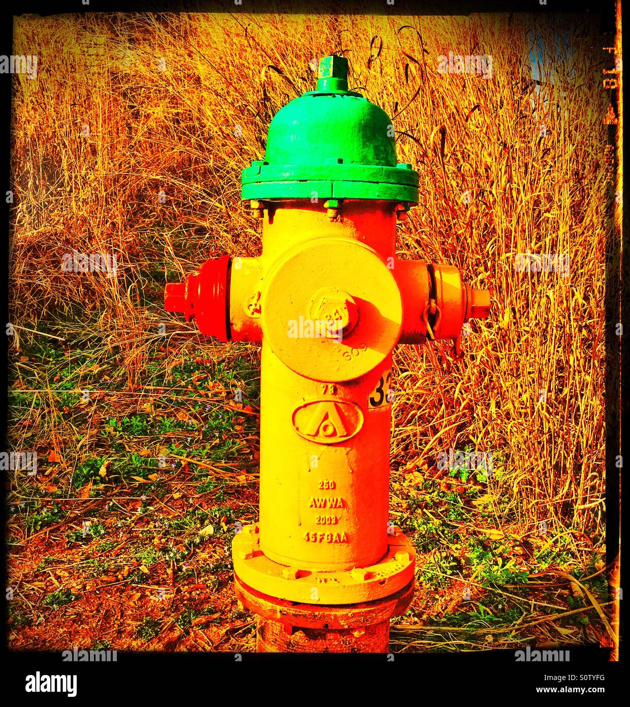 Fire hydrant lid hi-res stock photography and images - Alamy