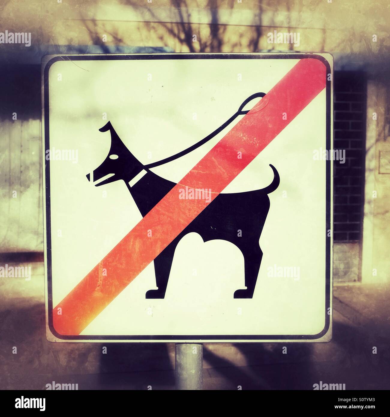 No Cartoon Dogs ! Stock Photo - Alamy