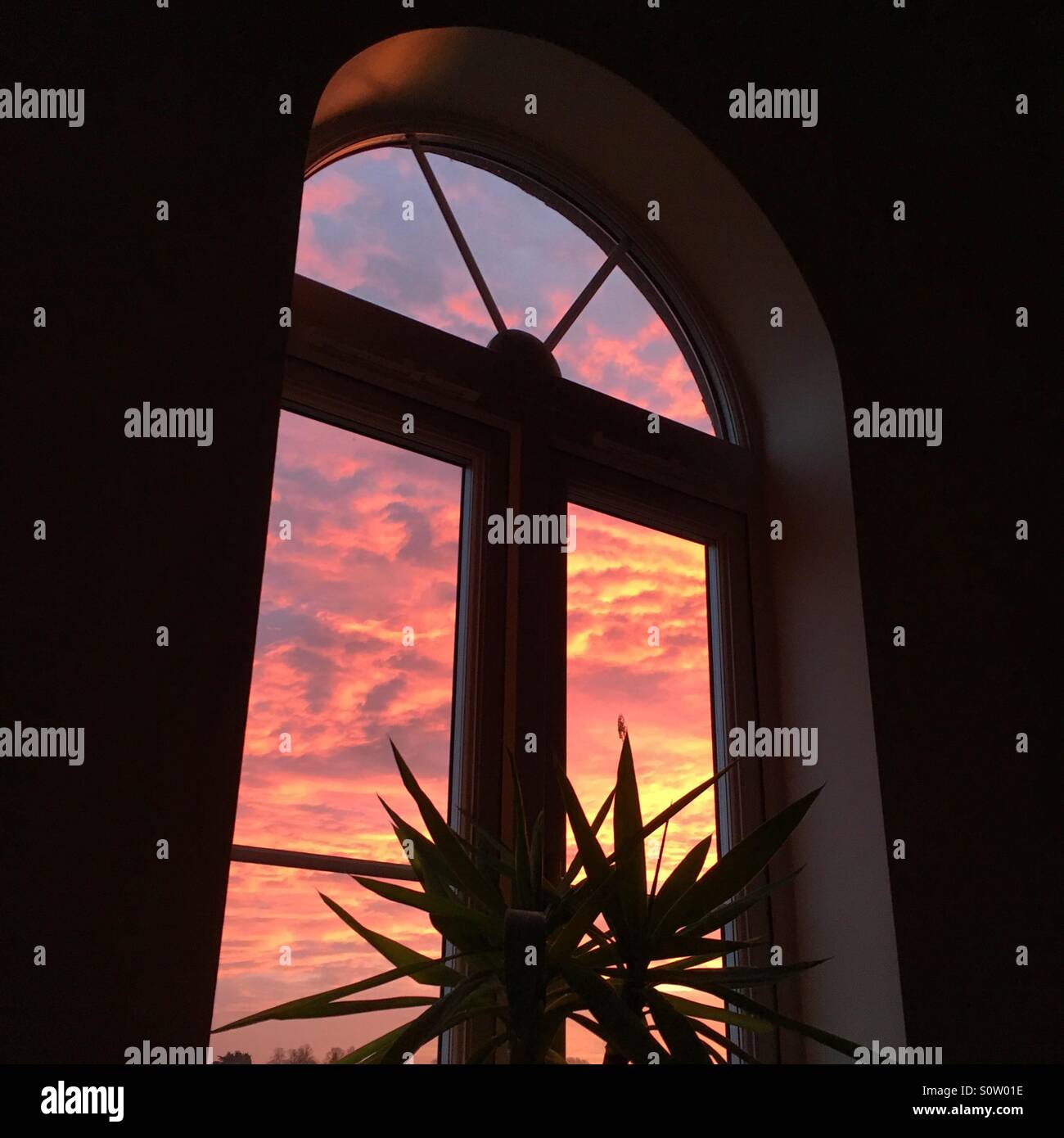 View out of window in early morning showing sunrise Stock Photo - Alamy