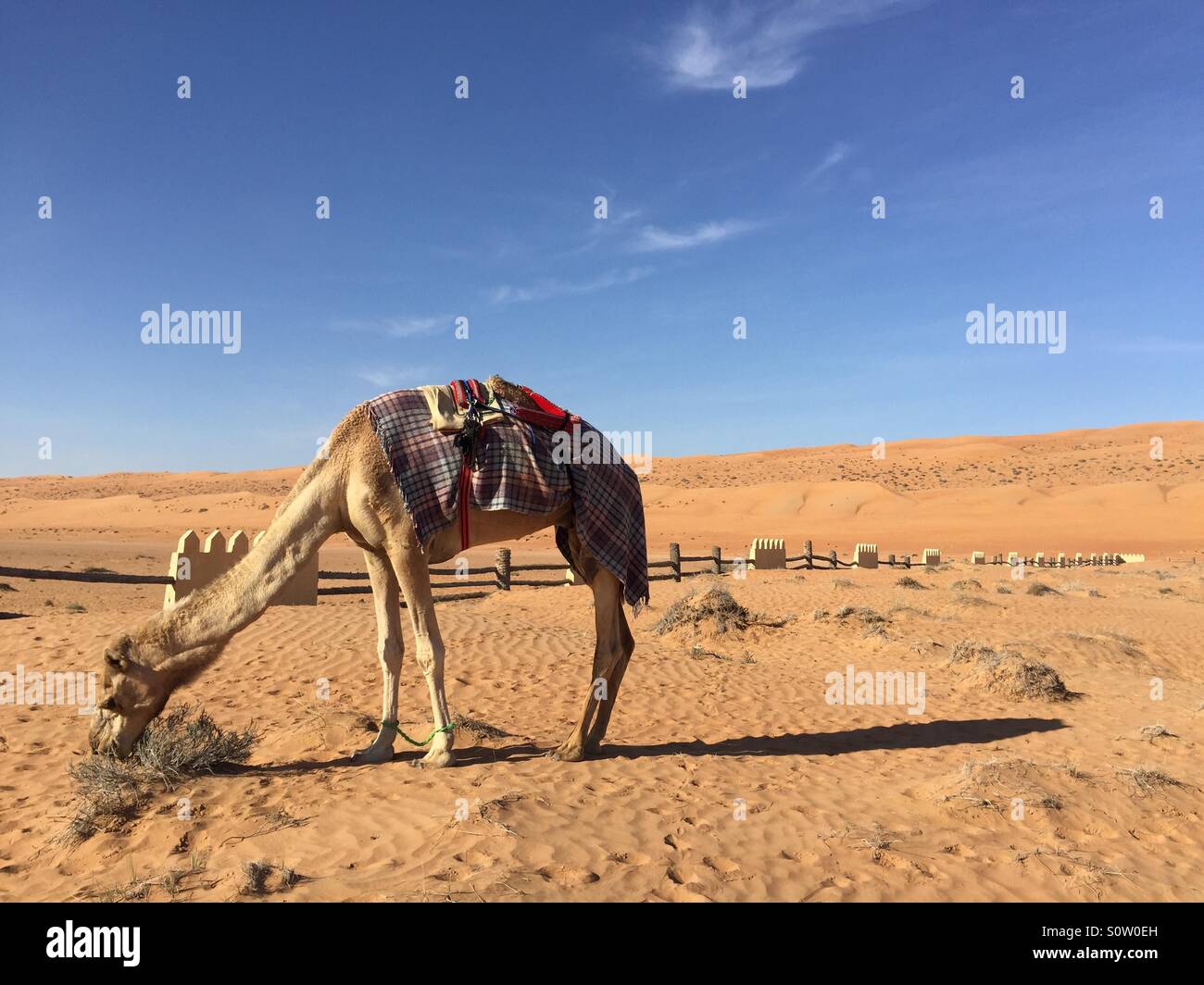 Omani desert hi-res stock photography and images - Alamy
