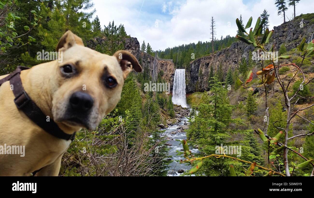 Adventures in nature hi-res stock photography and images - Alamy