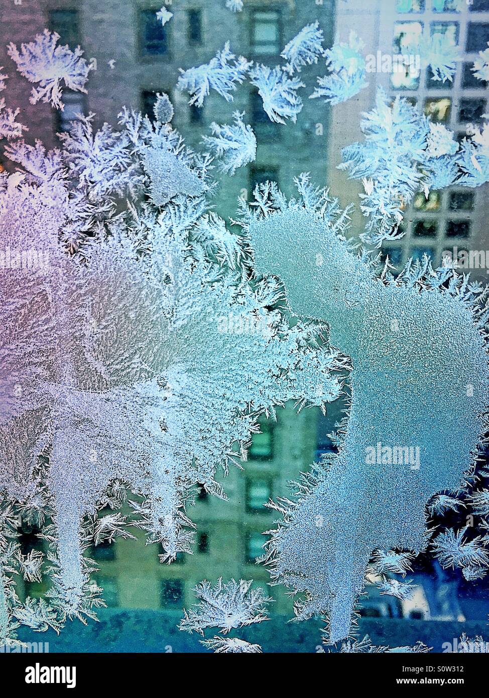 Frost On Window Pane
