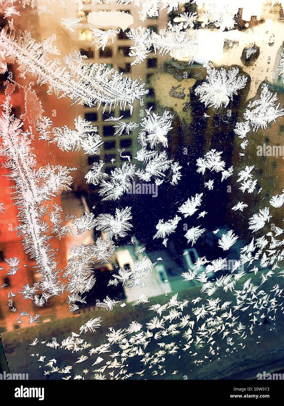 Ice crystals formed on the inside of a window pane in New York City ...