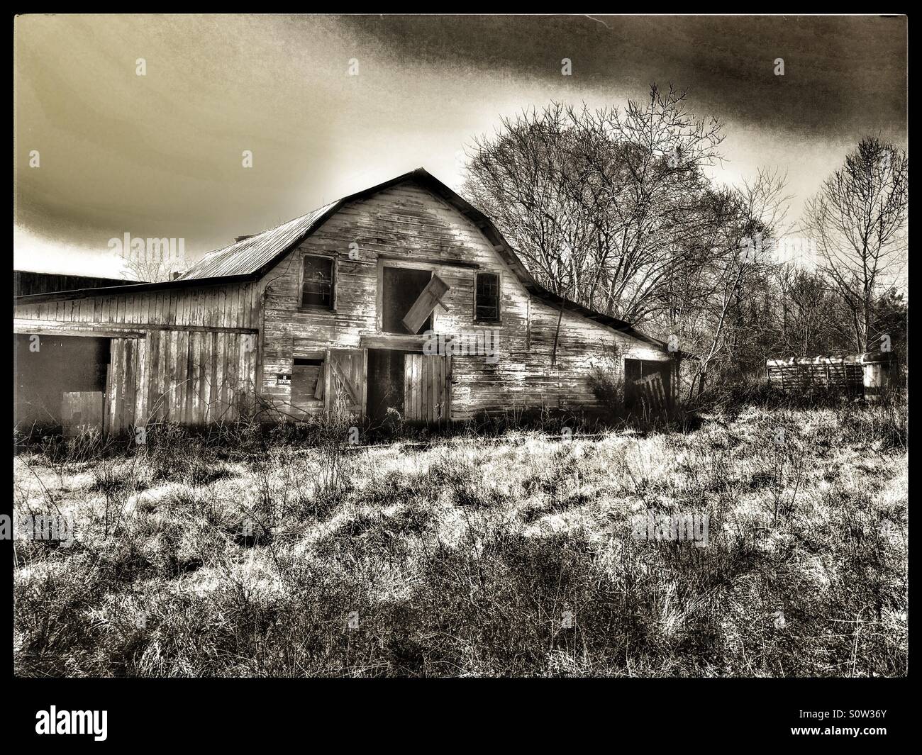 Horse by barn hi-res stock photography and images - Alamy