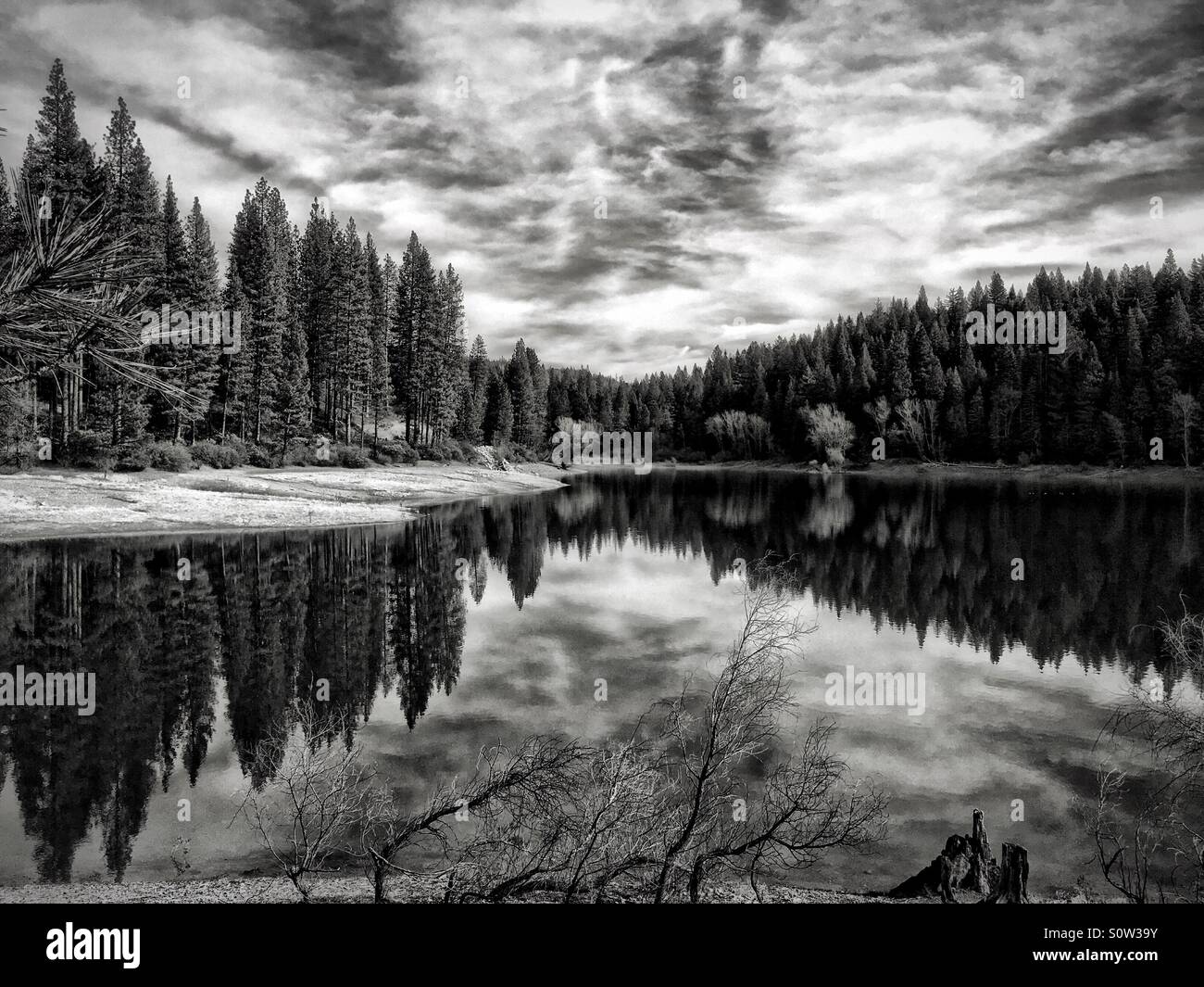 Pollock lake hi-res stock photography and images - Alamy