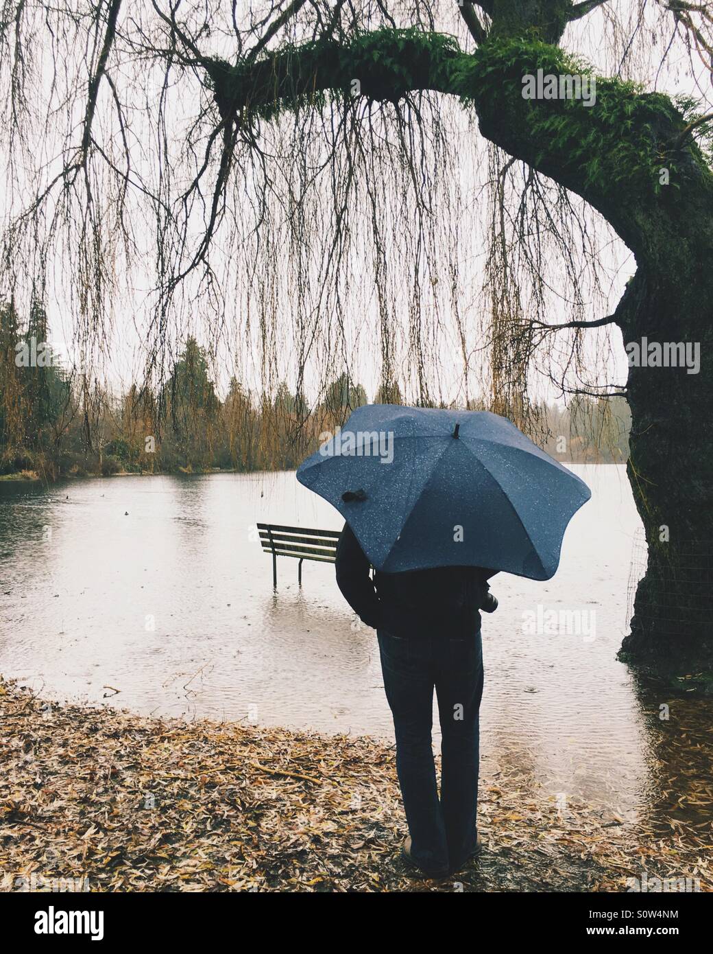 Bench flooded by the rain hi-res stock photography and images - Alamy