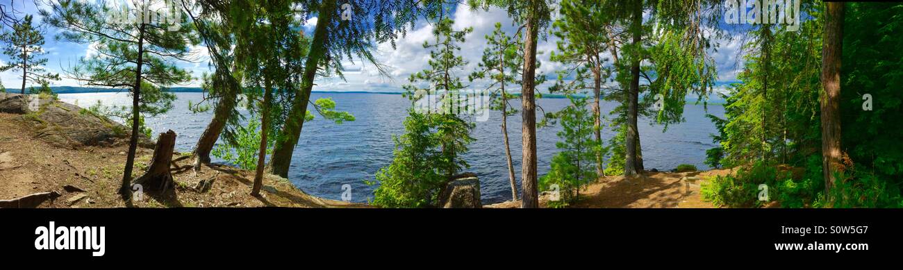 Shoreline forest hi-res stock photography and images - Alamy