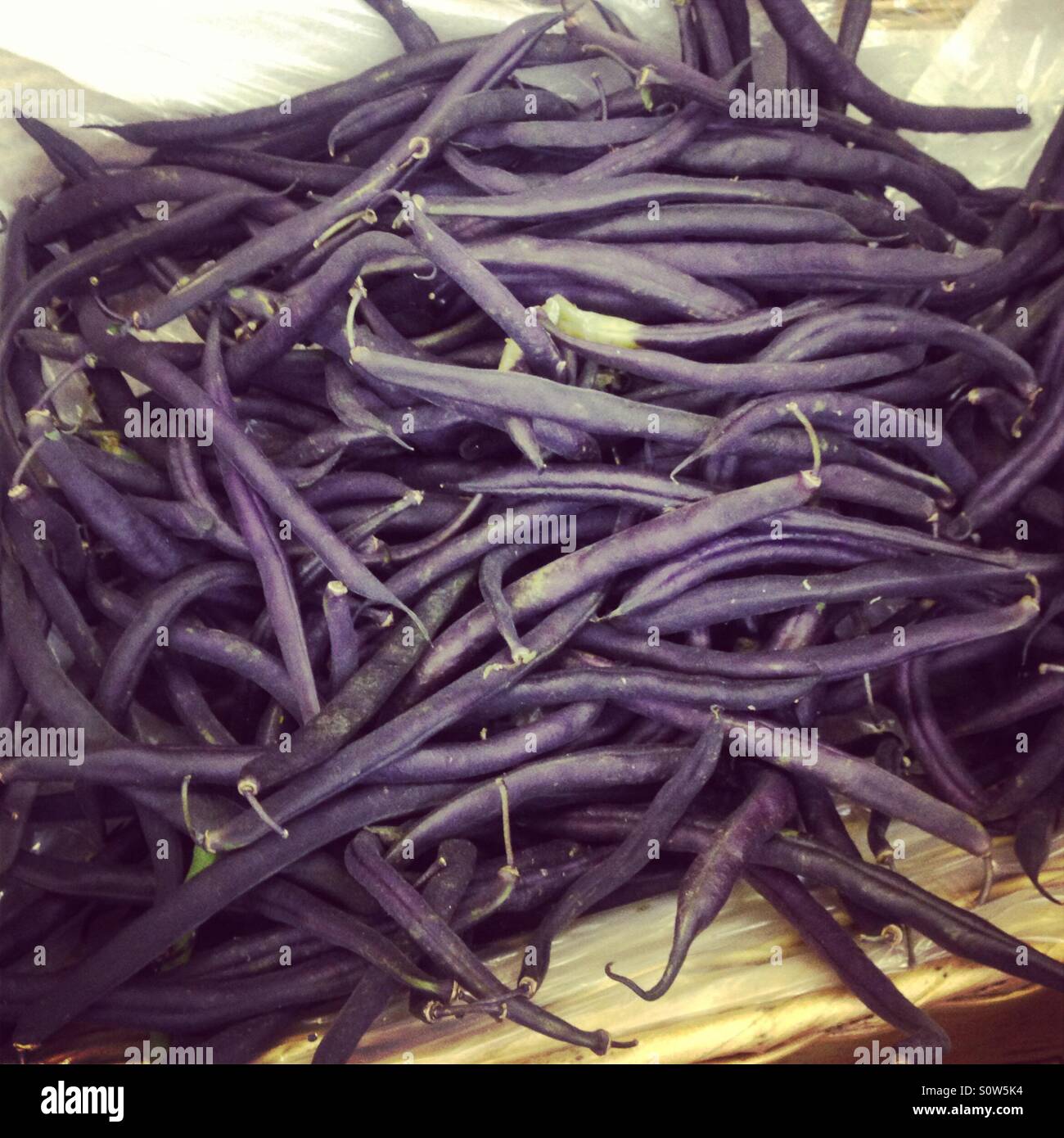 Purple beans hi-res stock photography and images - Alamy
