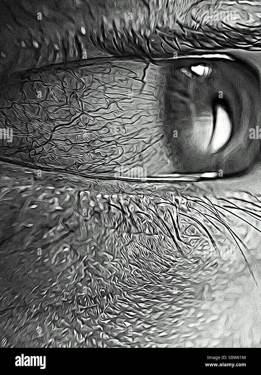 Etched black and white eye Stock Photo - Alamy