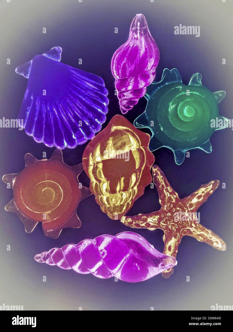 Snail shells shape hi-res stock photography and images - Alamy