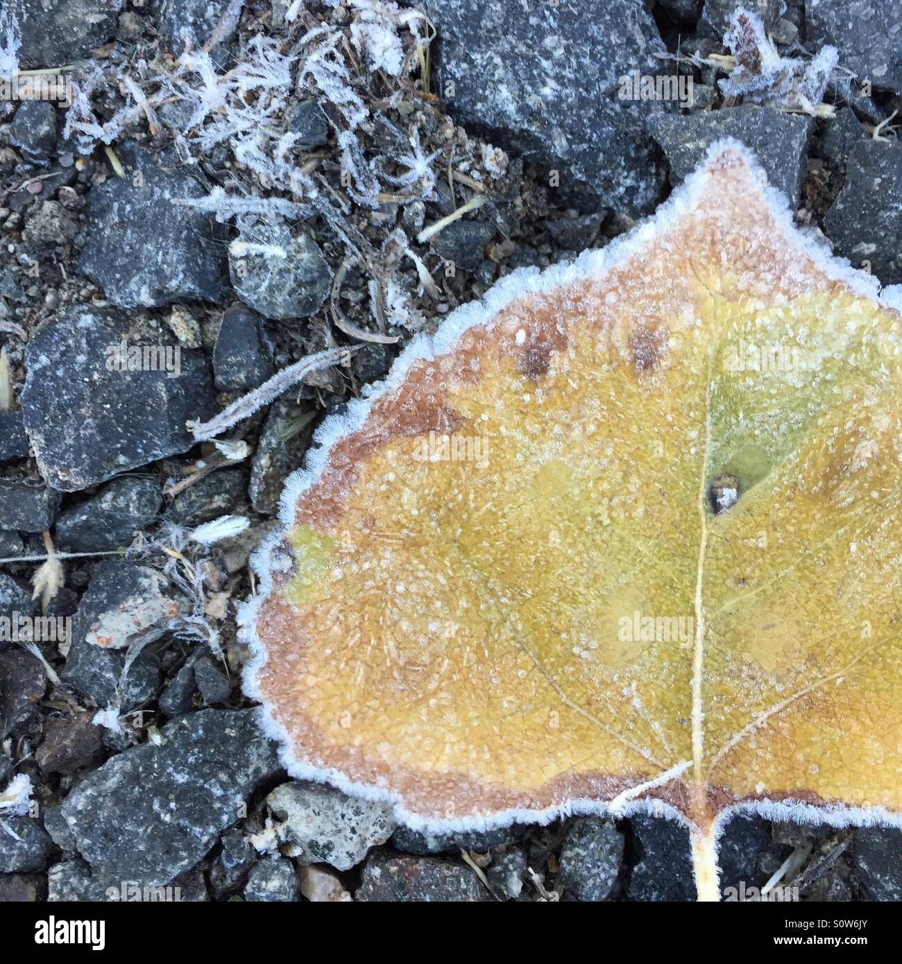 Rocks frost hi-res stock photography and images - Alamy