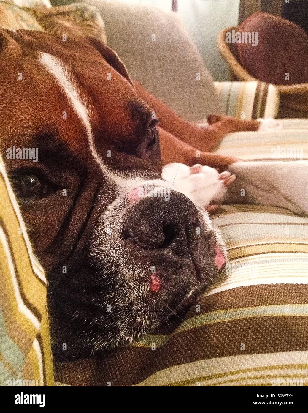 Half sleepy hi-res stock photography and images - Alamy