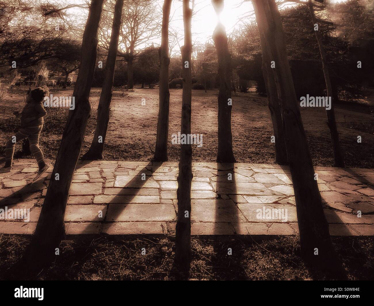 Running through the trees Stock Photo - Alamy