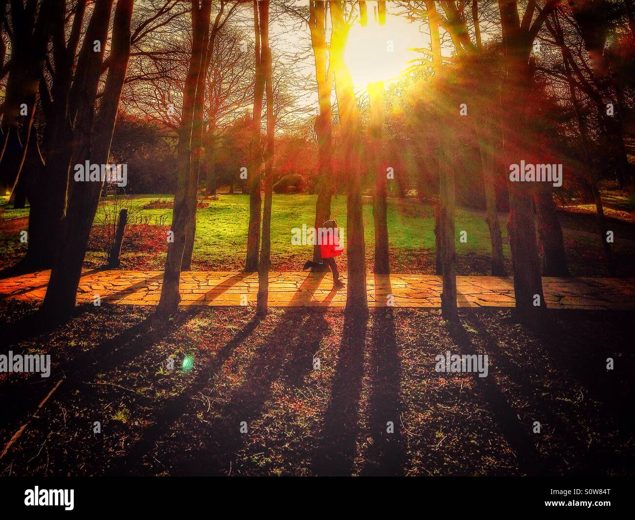 Boy running through the woods Stock Photo - Alamy