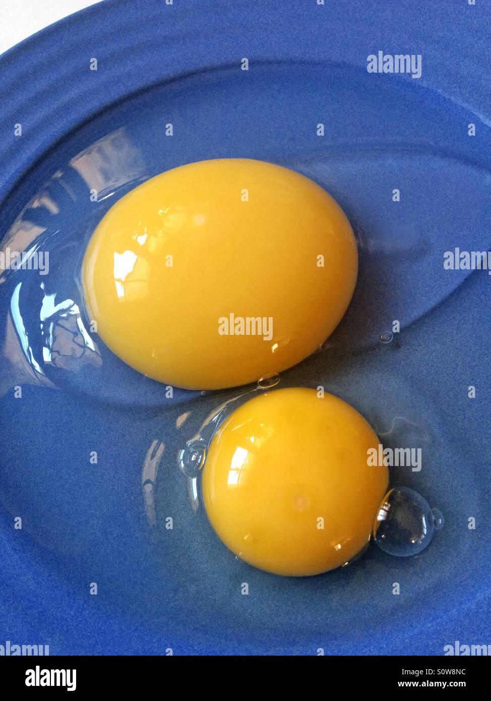 Very big eggs hi-res stock photography and images - Alamy