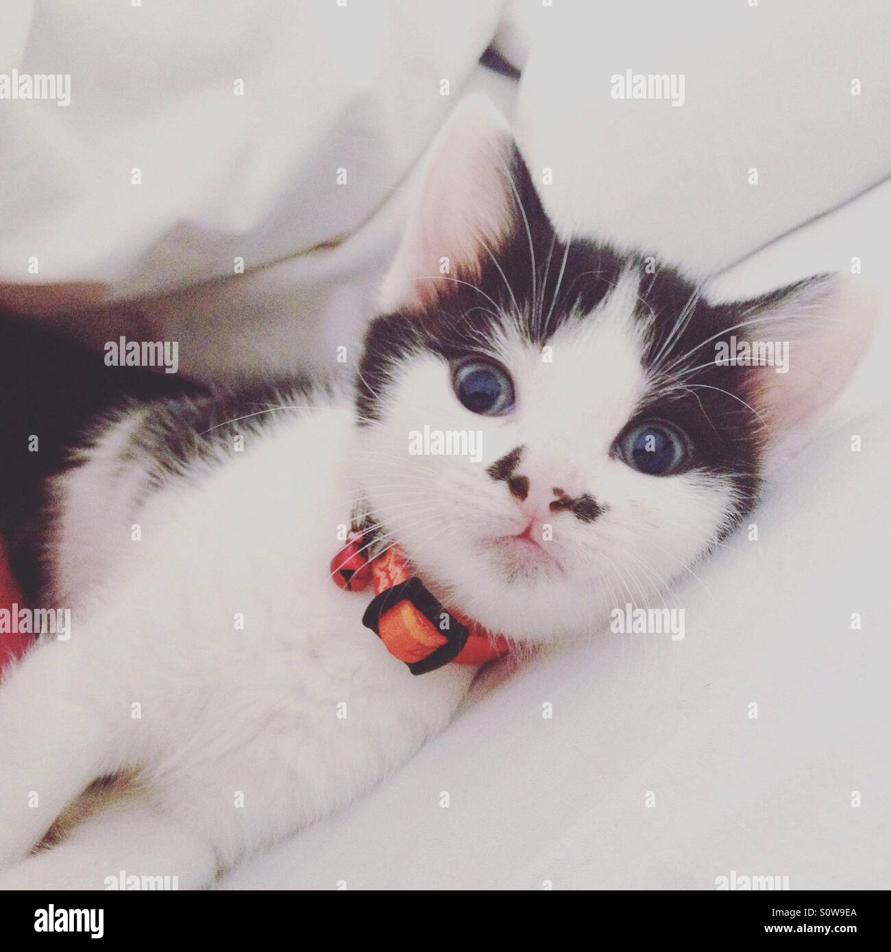 Humanoids hi-res stock photography and images - Alamy