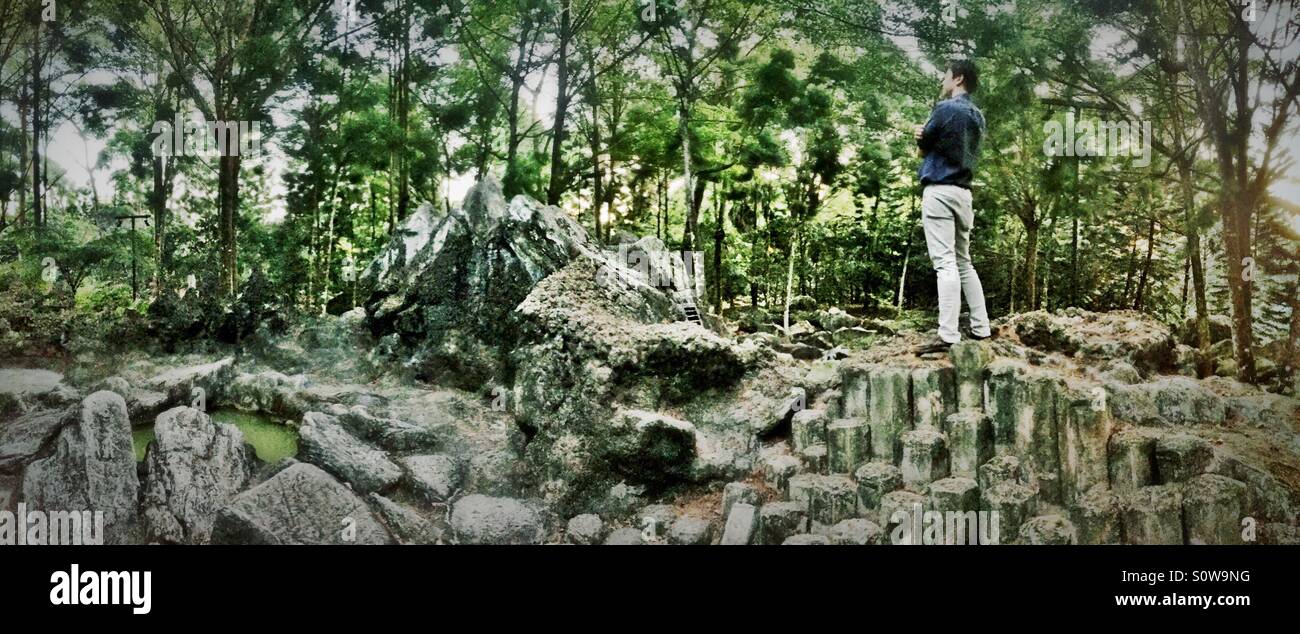 Evolution garden hi-res stock photography and images - Alamy