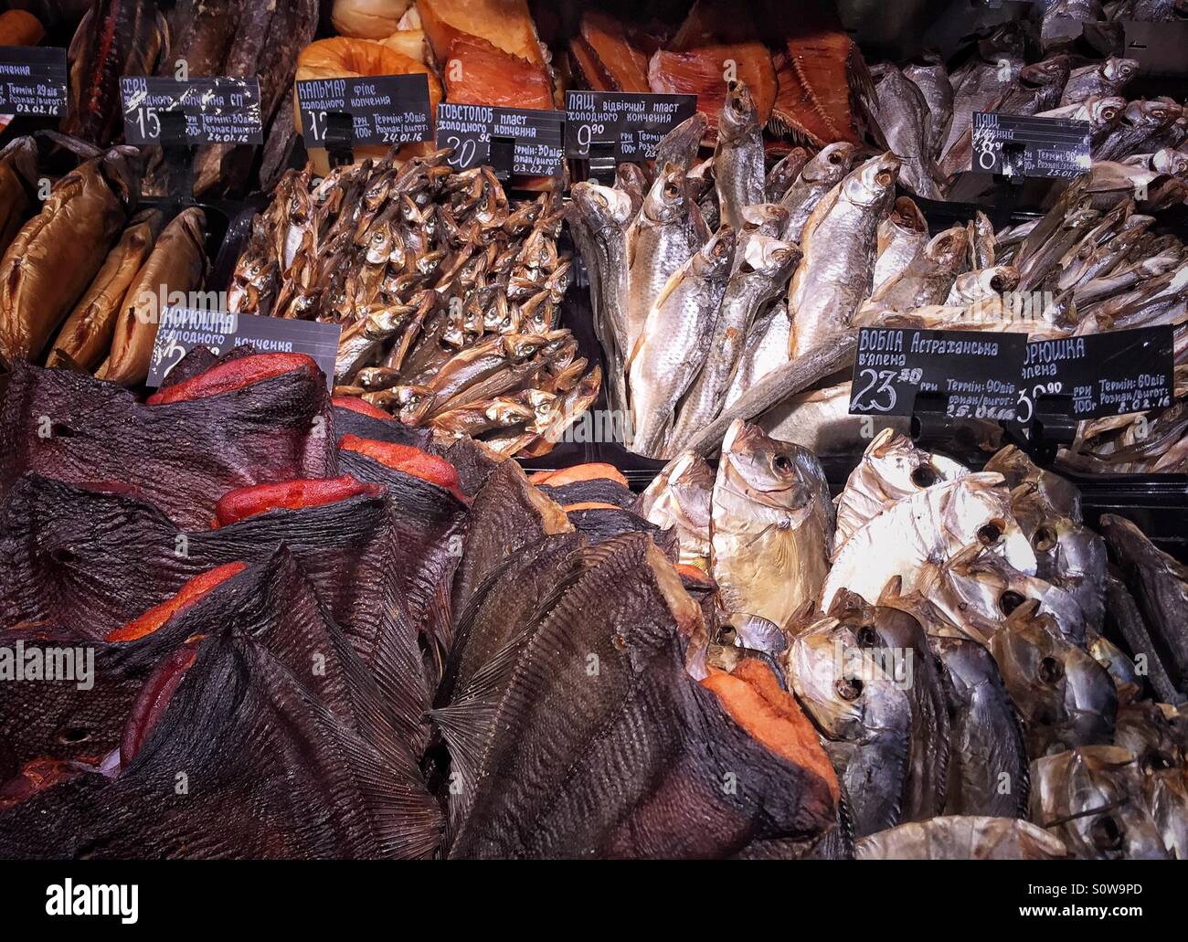 Taranka High Resolution Stock Photography and Images - Alamy