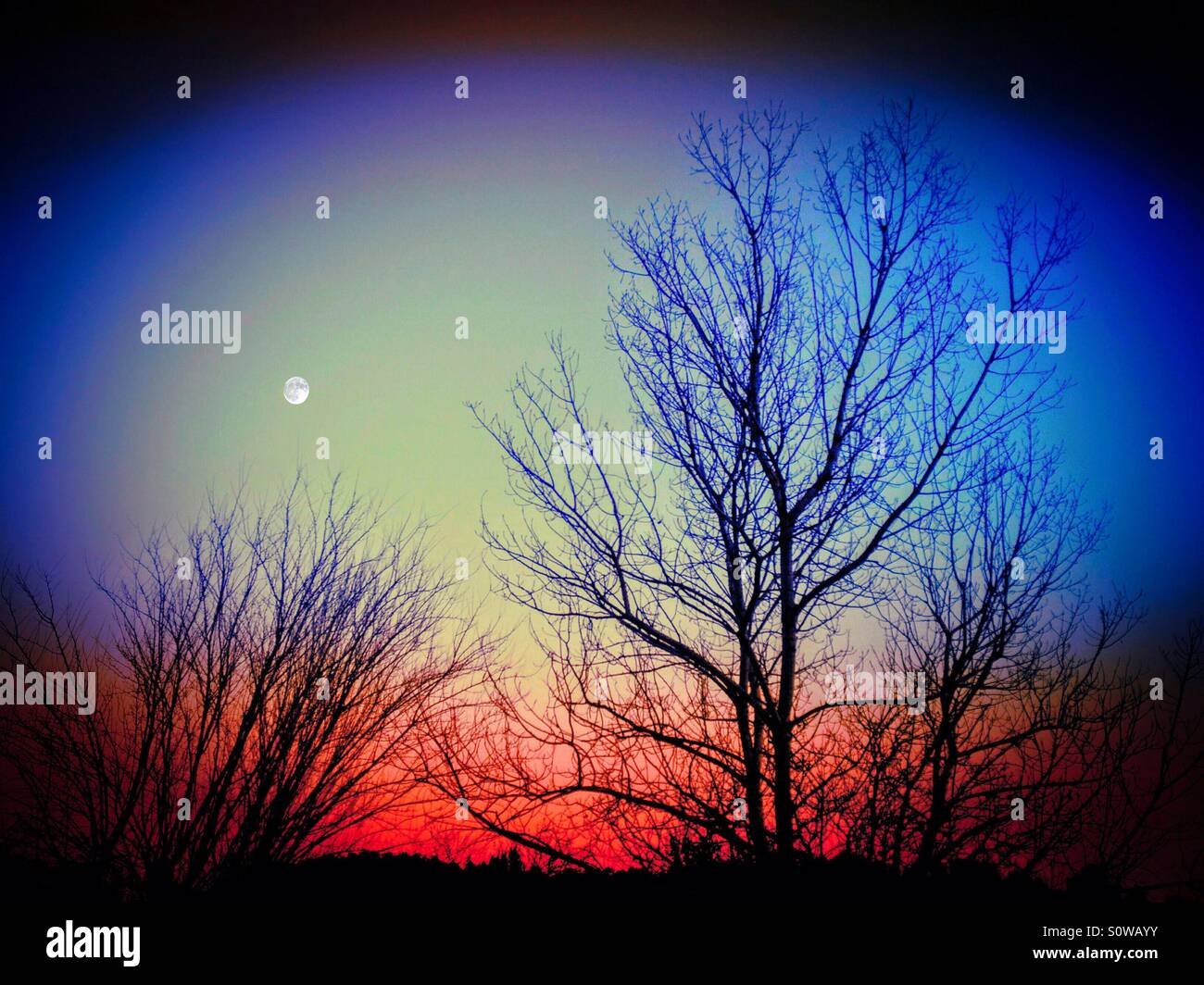 Moonlight landscape hi-res stock photography and images - Alamy