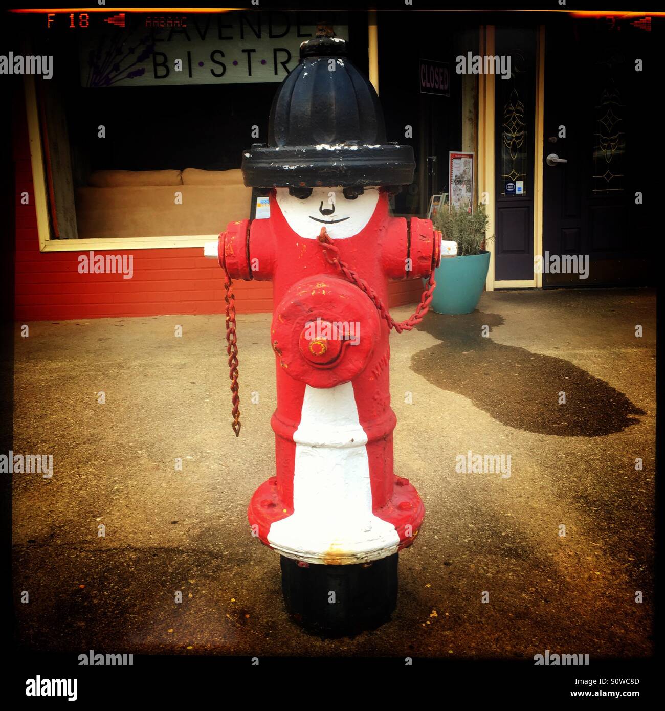 Painted fire hydrant hi-res stock photography and images - Alamy