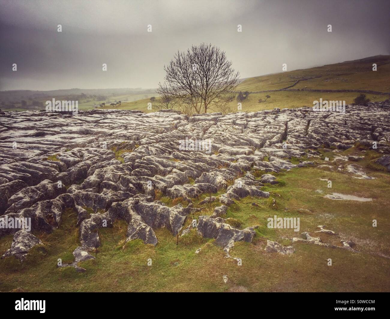 Limestone scenery malham hi-res stock photography and images - Alamy