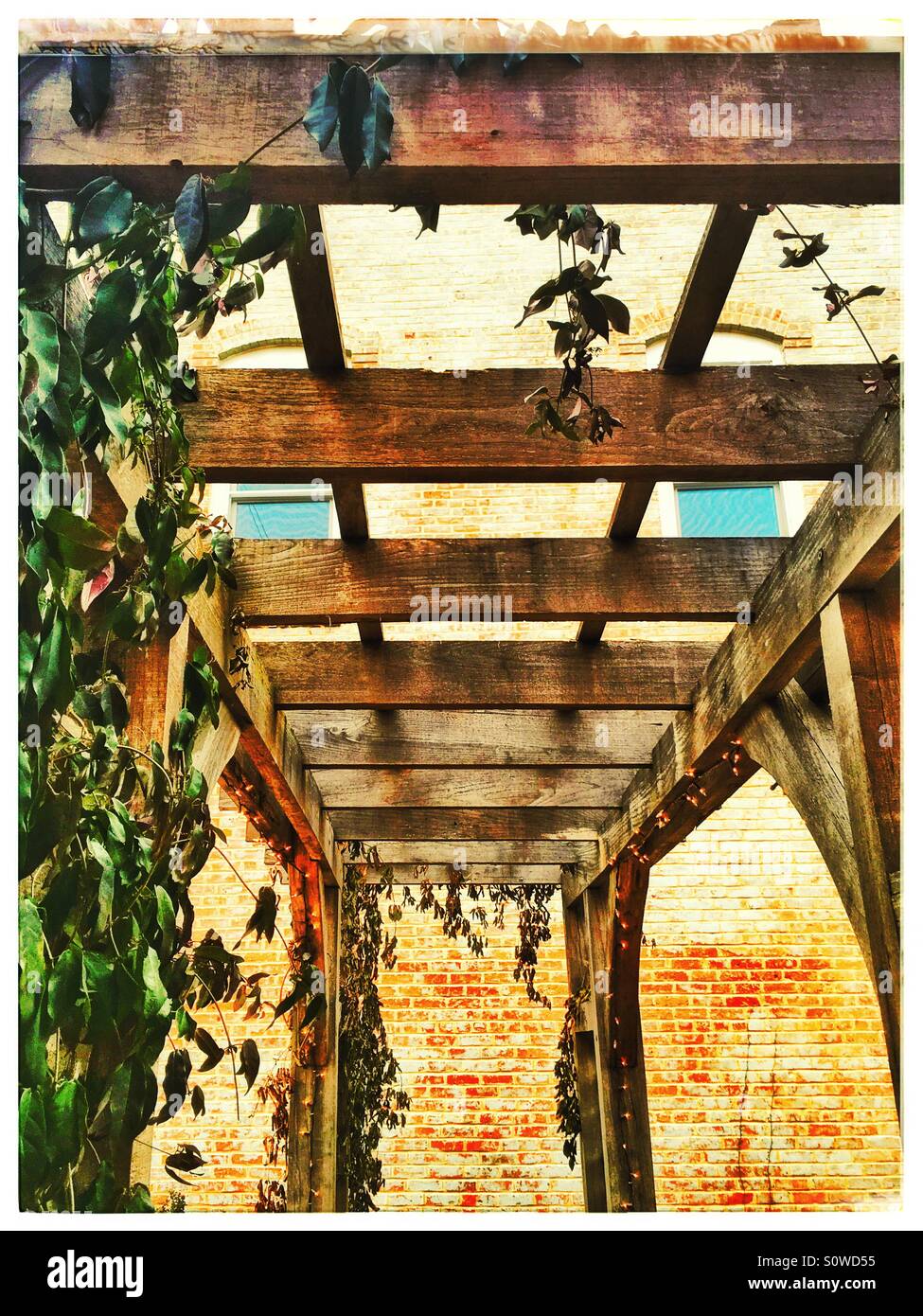 Arbor between buildings Stock Photo - Alamy