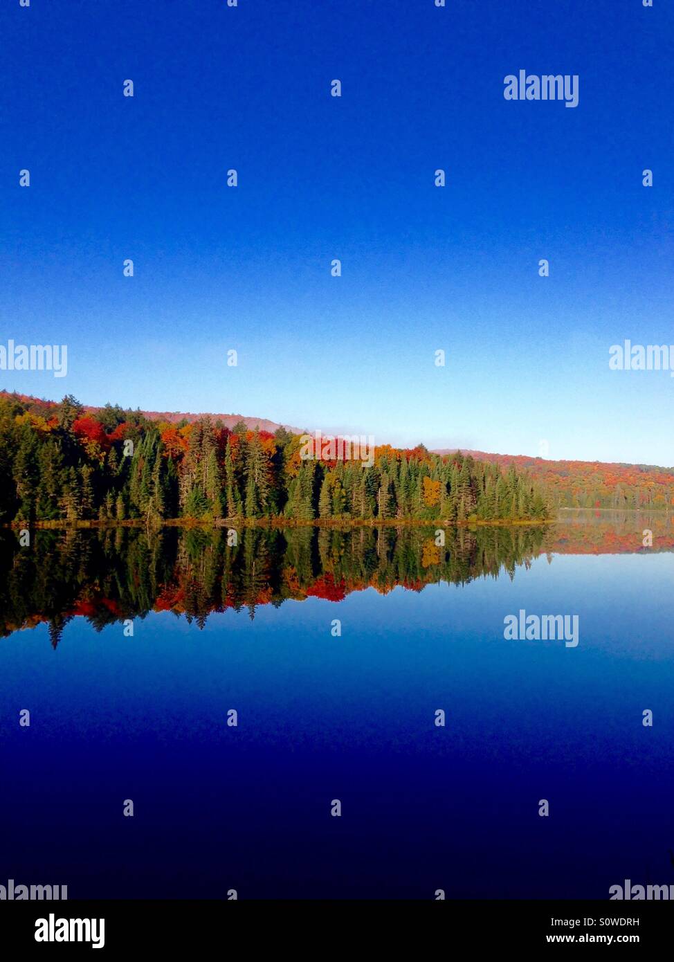 Shoreline with trees hi-res stock photography and images - Alamy