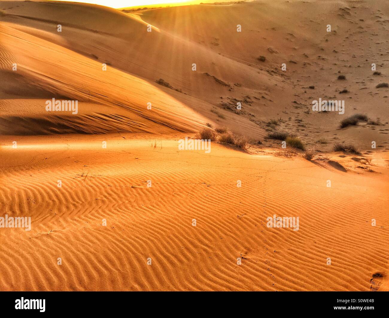 Wahiba desert oman hi-res stock photography and images - Alamy