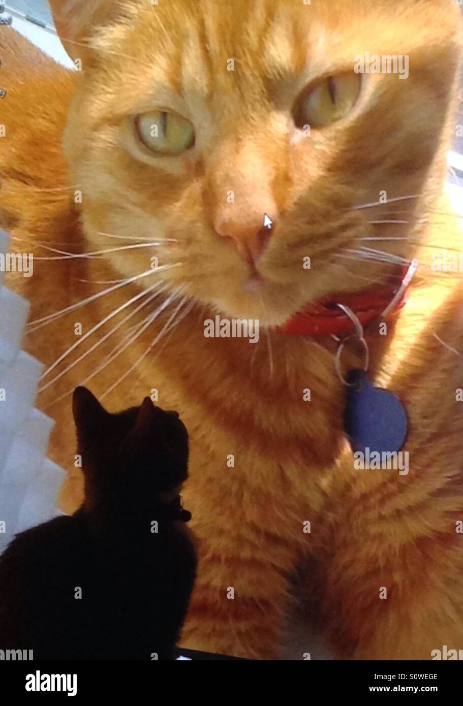 Honor god hi-res stock photography and images - Alamy