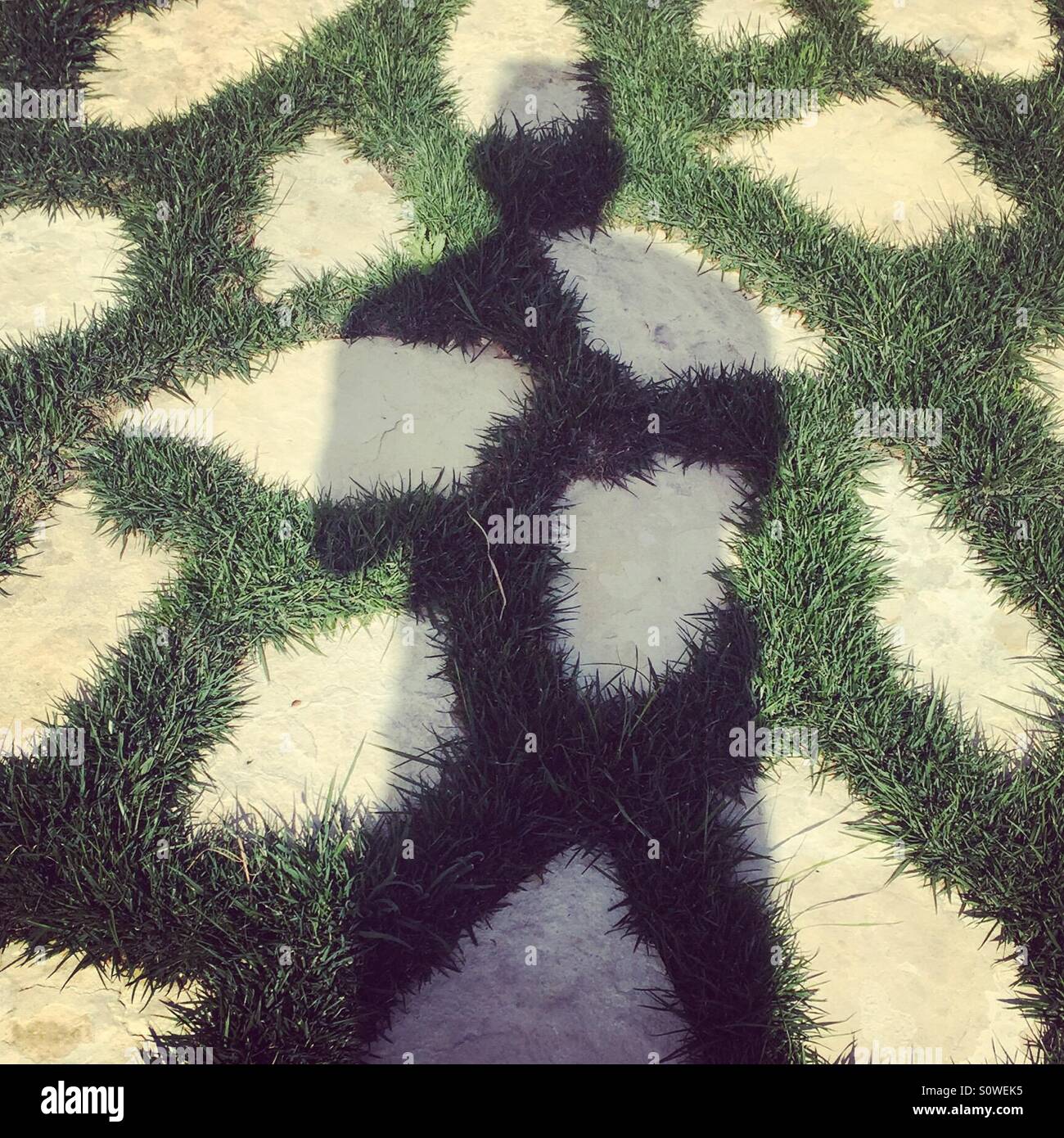 Pavers grass hi-res stock photography and images - Alamy