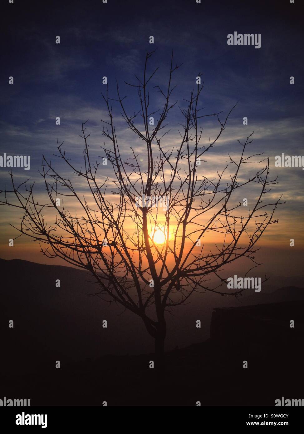 Beautiful sunset behind the tree Stock Photo - Alamy