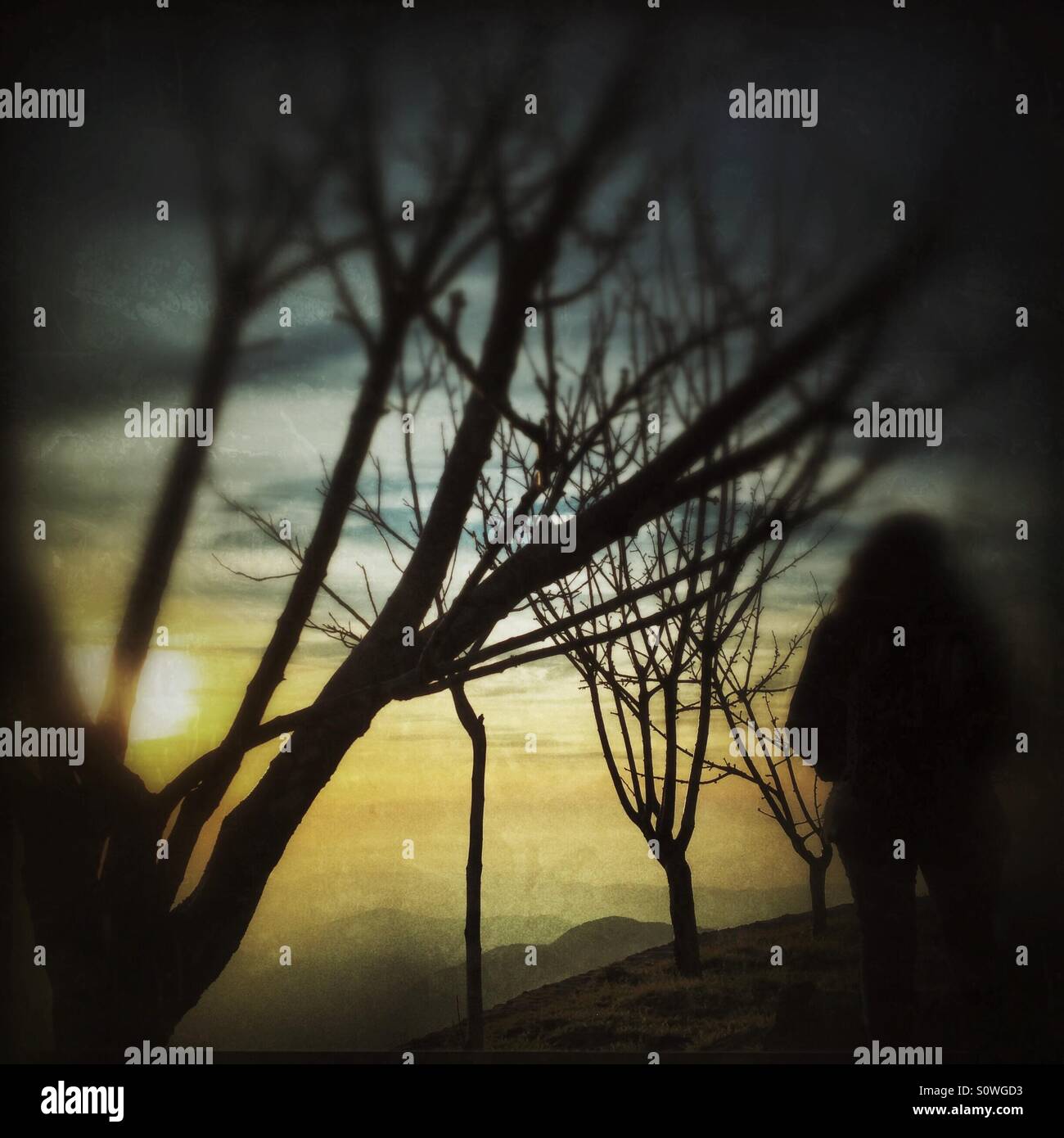 Woman patience , woman dreaming Stock Photo - Alamy