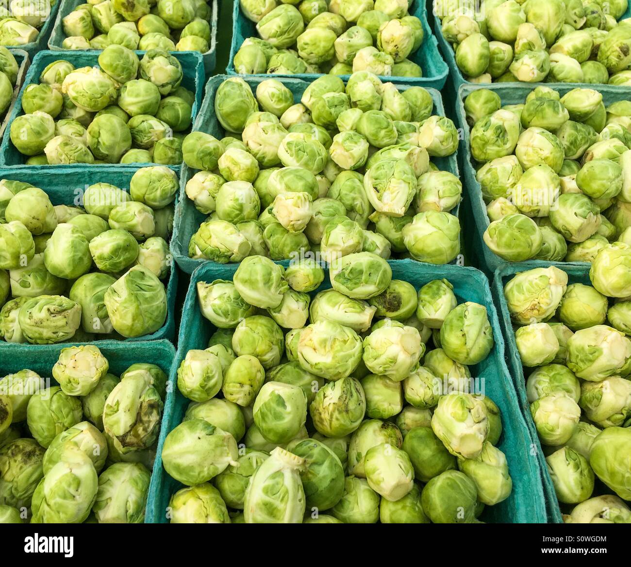 Boxes of Brussels sprouts Stock Photo - Alamy