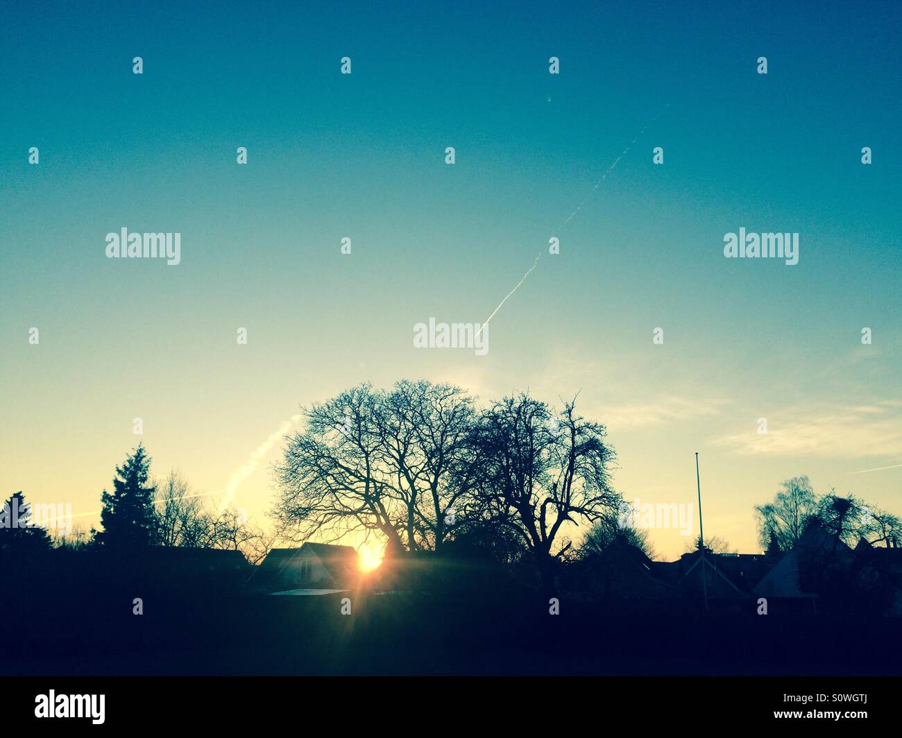 Nice sunset with trees hi-res stock photography and images - Alamy