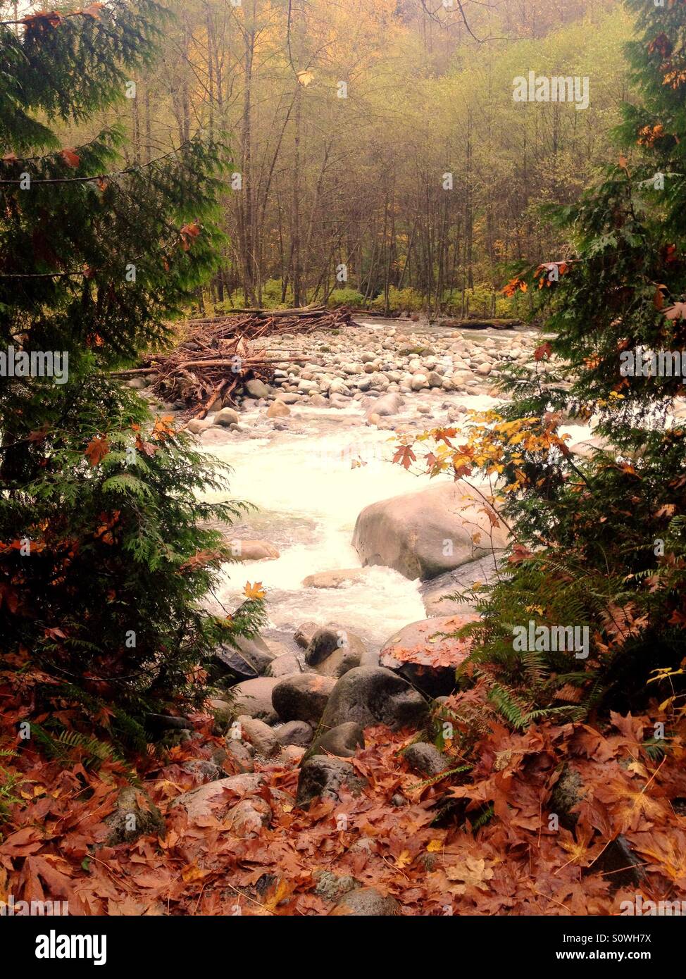 Gateway to nature hi-res stock photography and images - Alamy